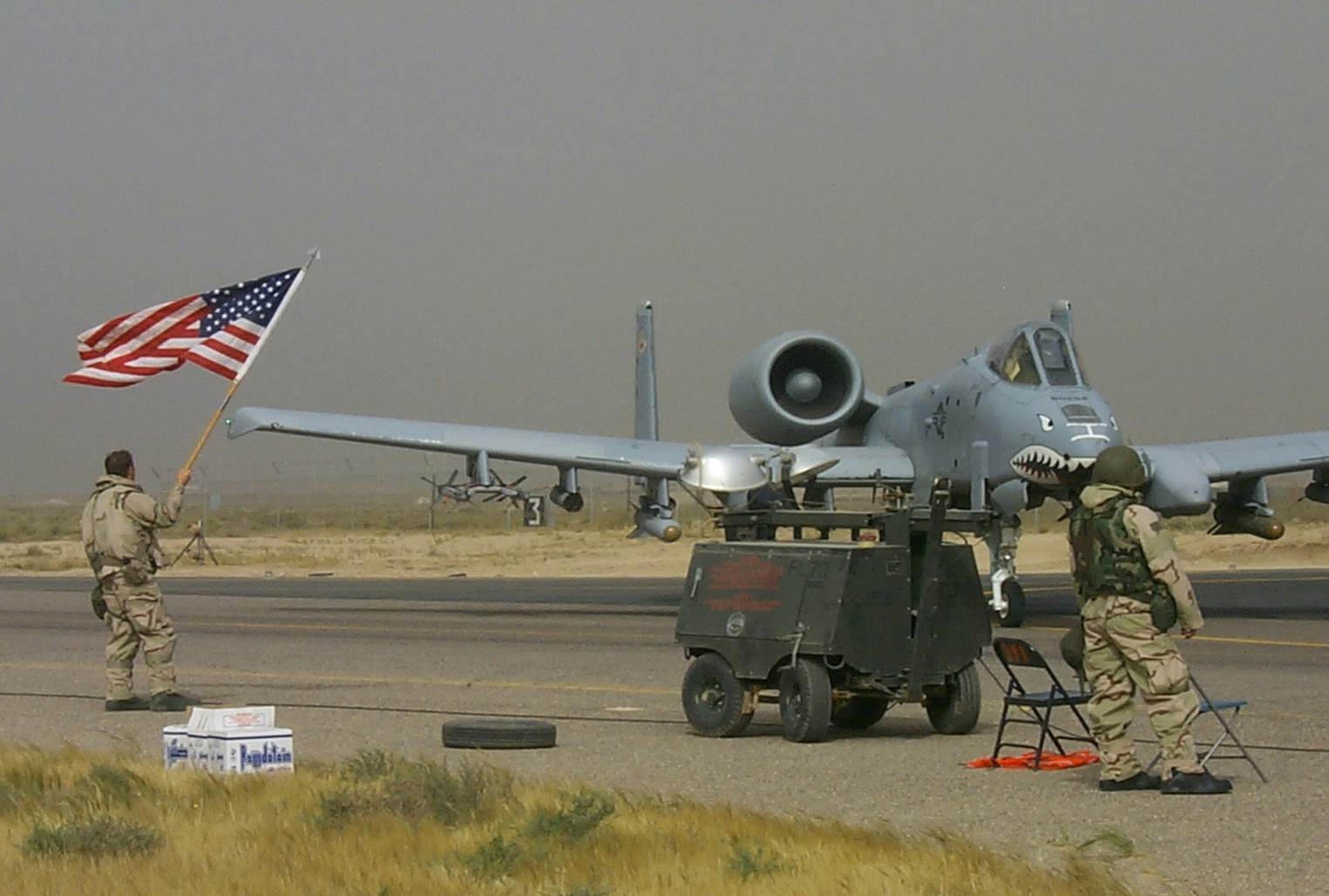 A-10 Pilot's Diary Entry From The Day She Was Nearly Shot Down