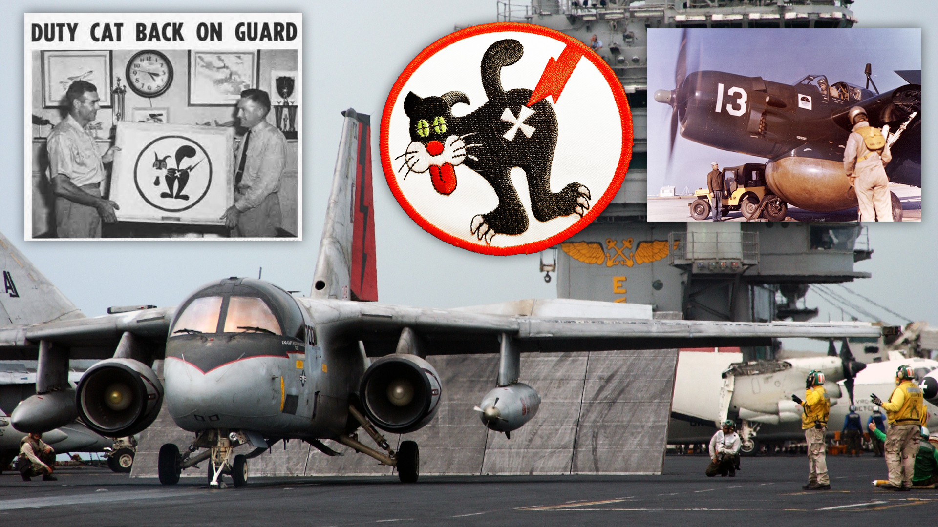 The Tale Of The Duty Cat