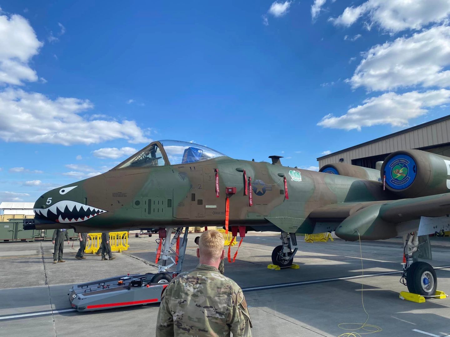 A-10 Warthog Emerges In New Camouflage