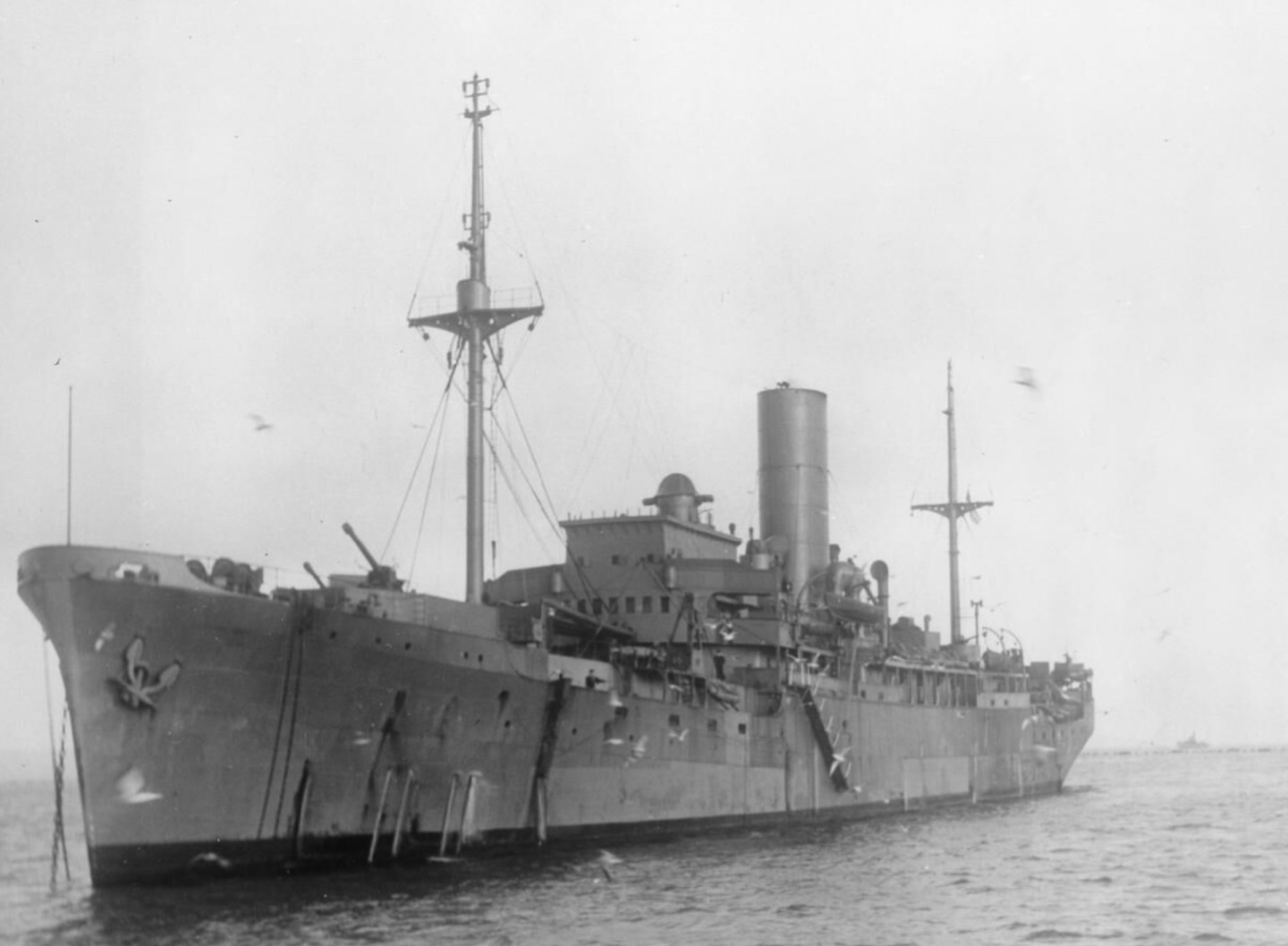 This Minelayer Was Converted Into A Floating Brewery During World War II