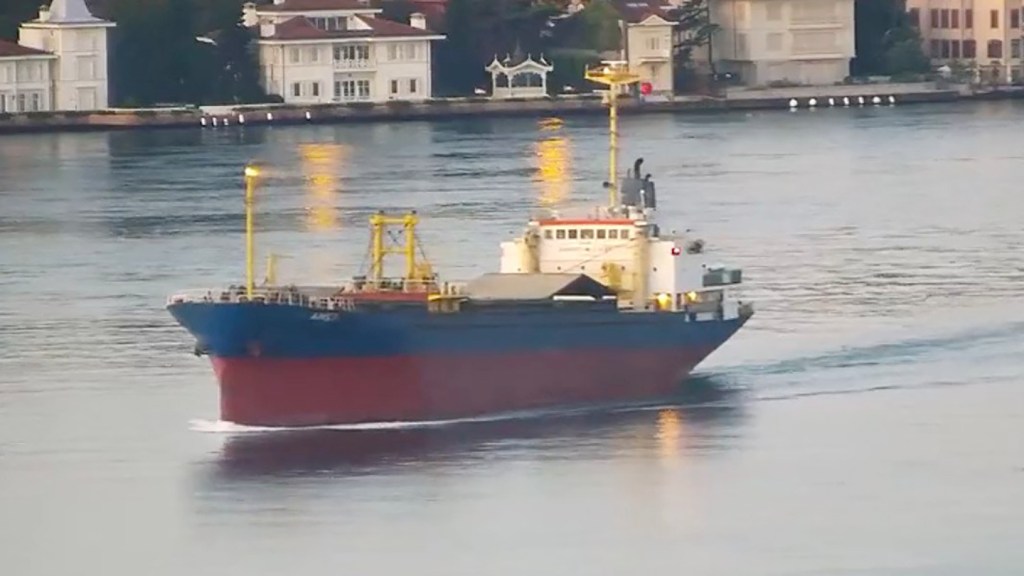 Cargo Ship Enters Danube Despite Russia's Black Sea Shipping Threat
