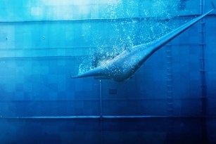 Manta Ray High-Endurance Underwater Drone Unveiled