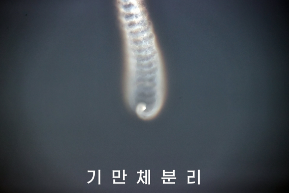 Conflicting Claims Surround North Korea’s Test Of Multiple ...