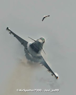 Eurofighter Typhoon Canopy-Shattering Bird Strike Captured In Amazing ...