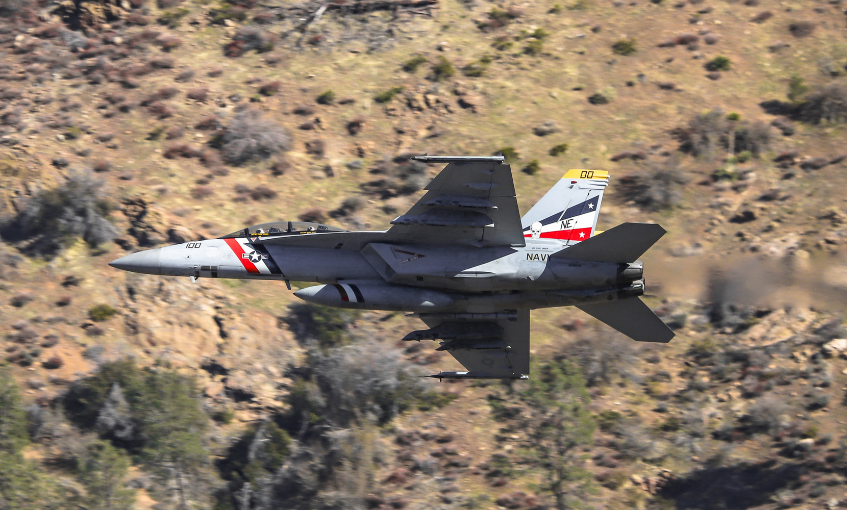 Photographer Hikes Sequoia National Forest To Get Insane Shots Of ...