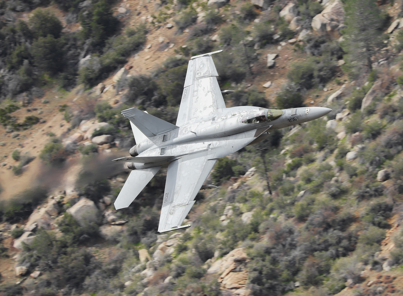 Photographer Hikes Sequoia National Forest To Get Insane Shots Of ...