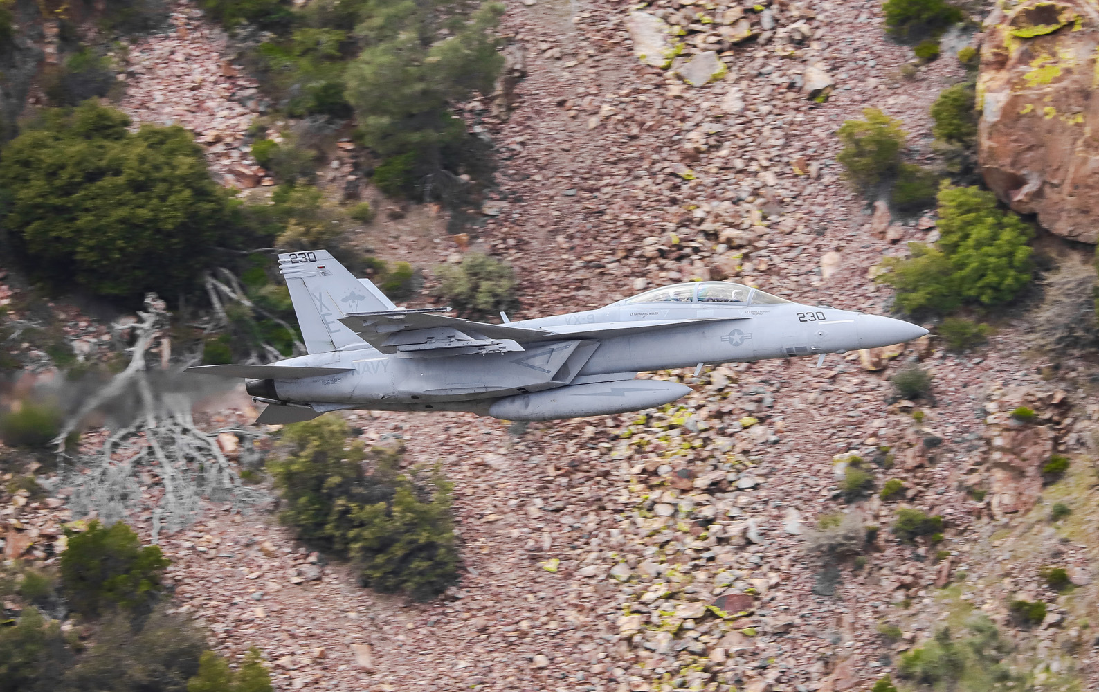 Photographer Hikes Sequoia National Forest To Get Insane Shots Of ...