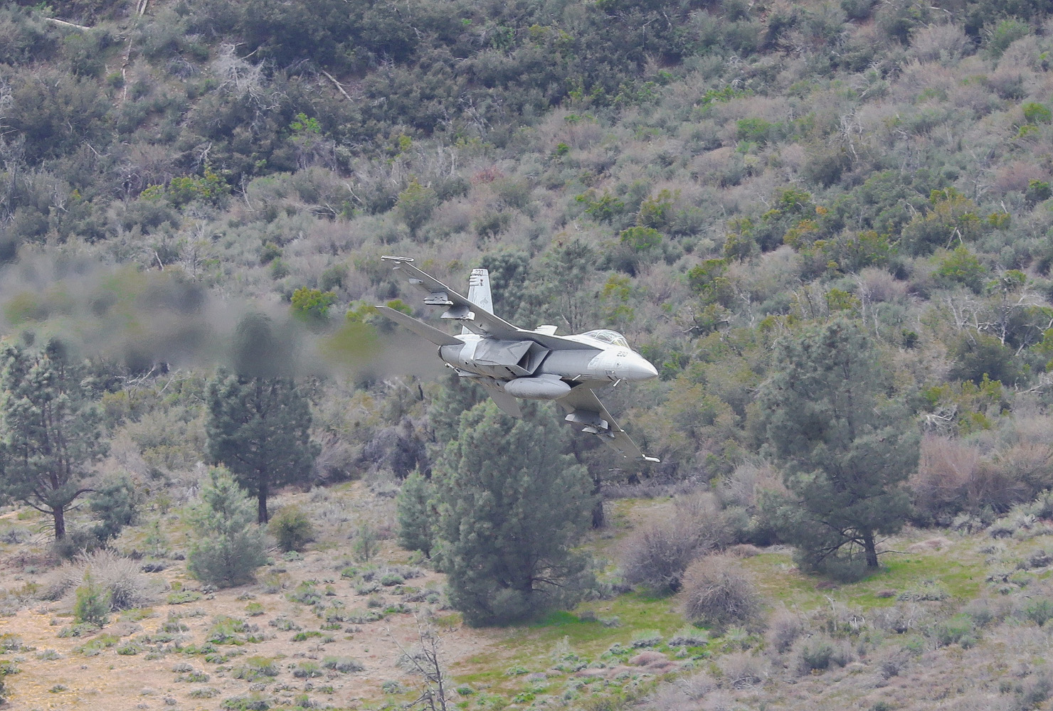 Photographer Hikes Sequoia National Forest To Get Insane Shots Of ...