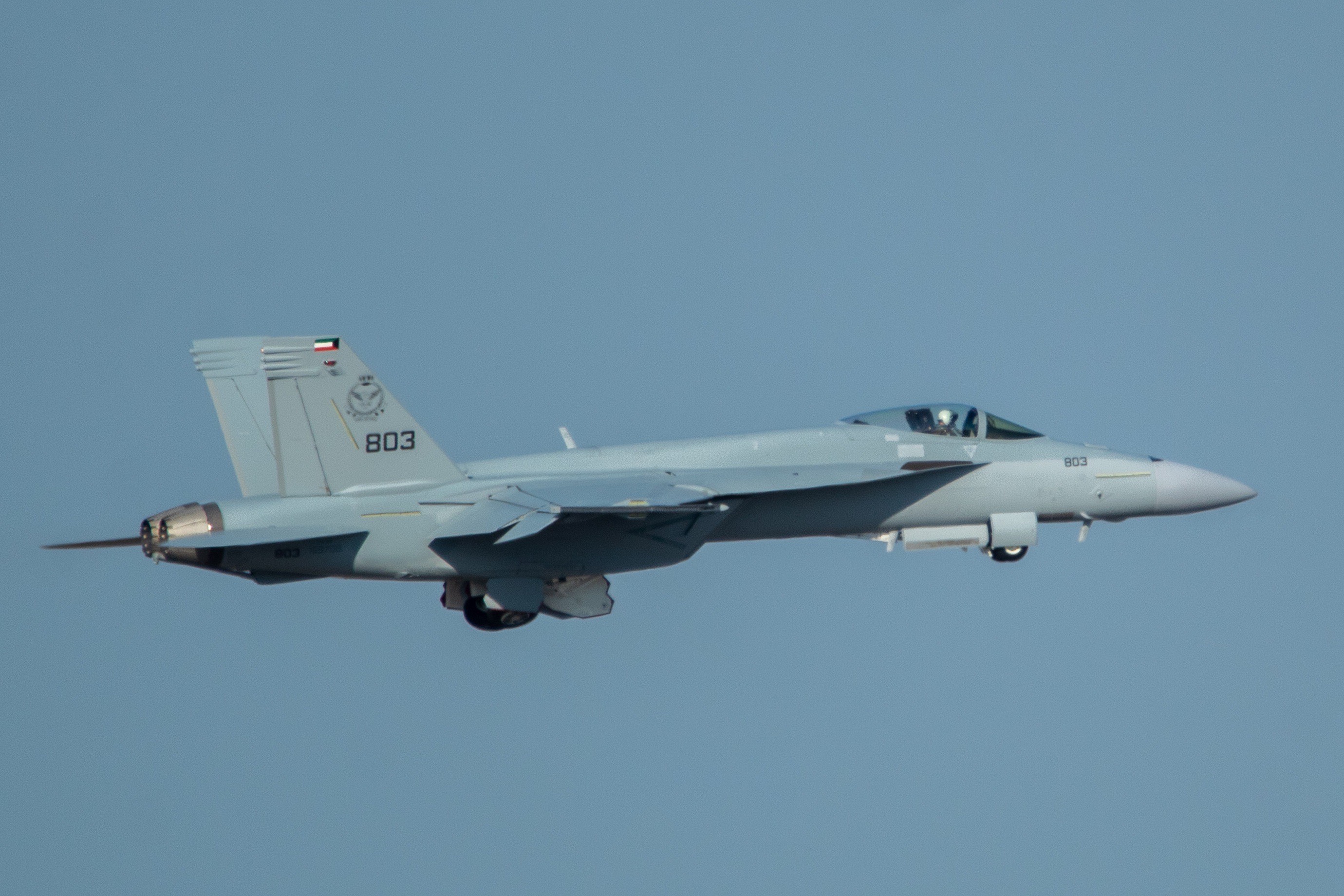 This Is Our First Look At A Kuwait Air Force Super Hornet In Its ...