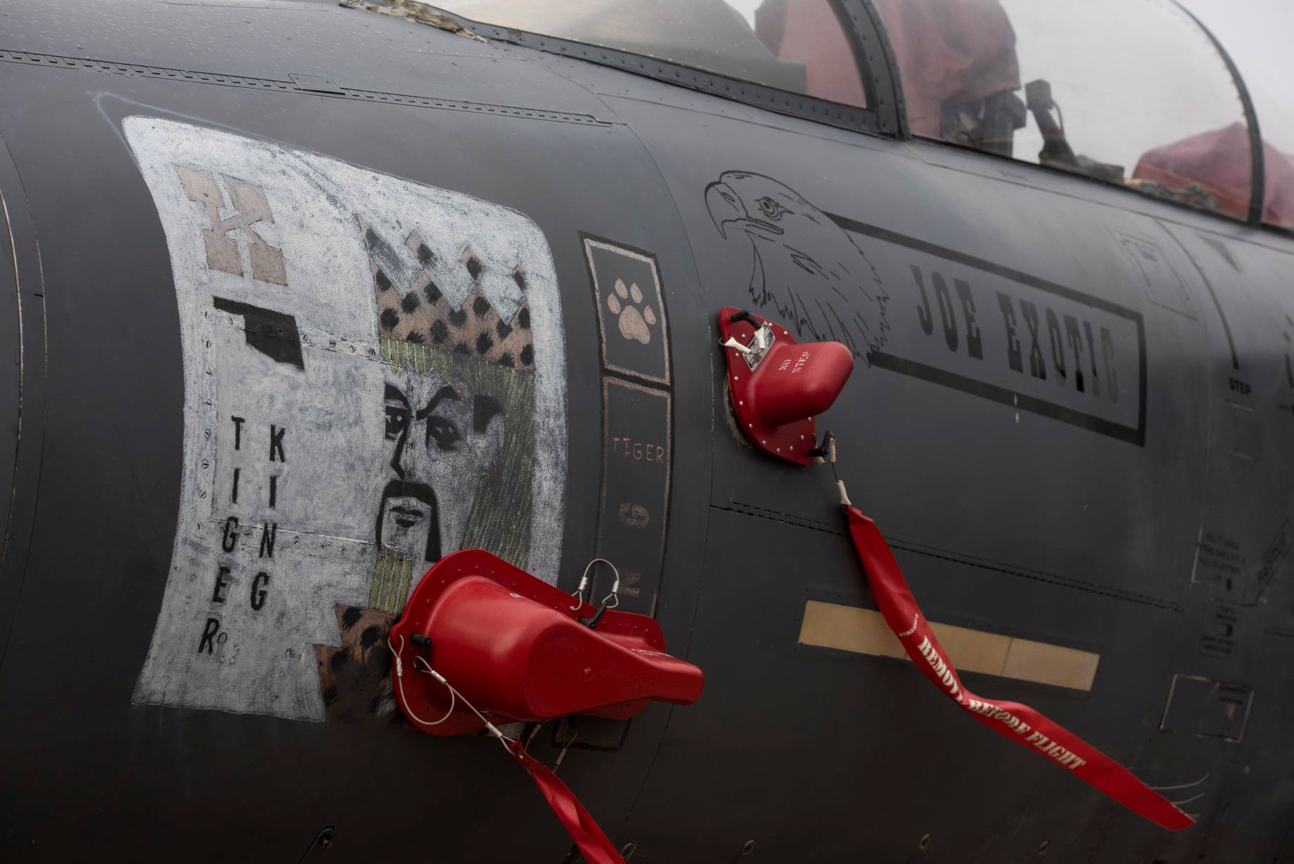 Squadron Showcases F-15E Strike Eagles Adorned With Villain-Themed Nose ...