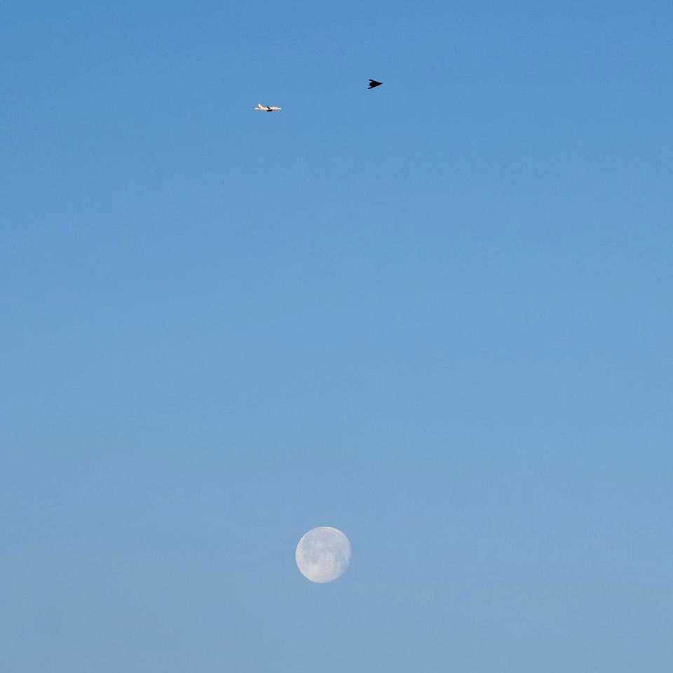 The World's Most Secretive 737 Just Showed Its Bizarre Self Over The ...