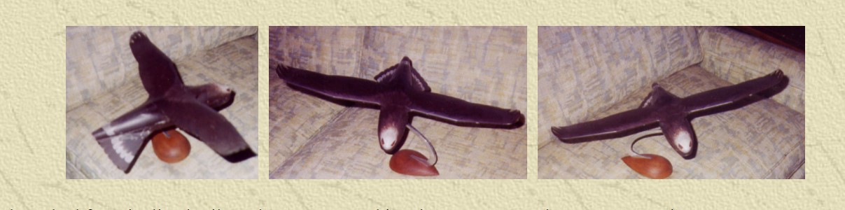 The CIA's Bird-Shaped Aquiline Drones Could Still Be Caged Up At Area 51