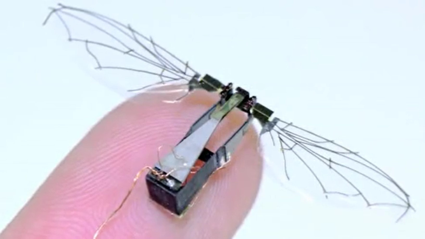 The CIA's Bird-Shaped Aquiline Drones Could Still Be Caged Up At Area 51