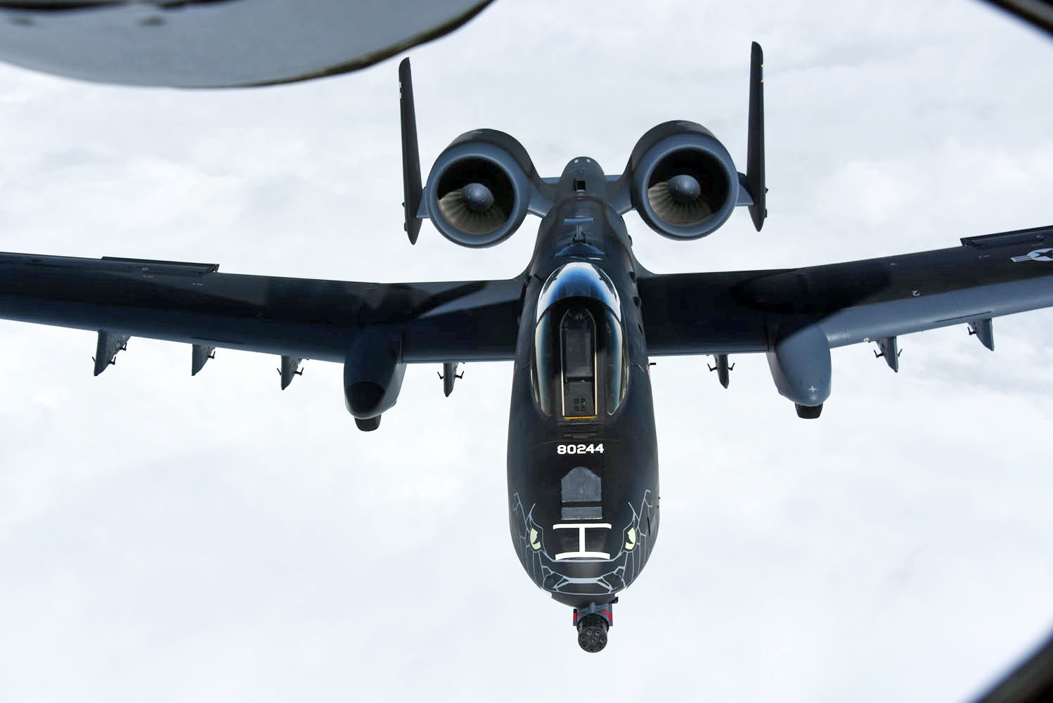 Behold The Awesomeness Of This Black A-10 Warthog