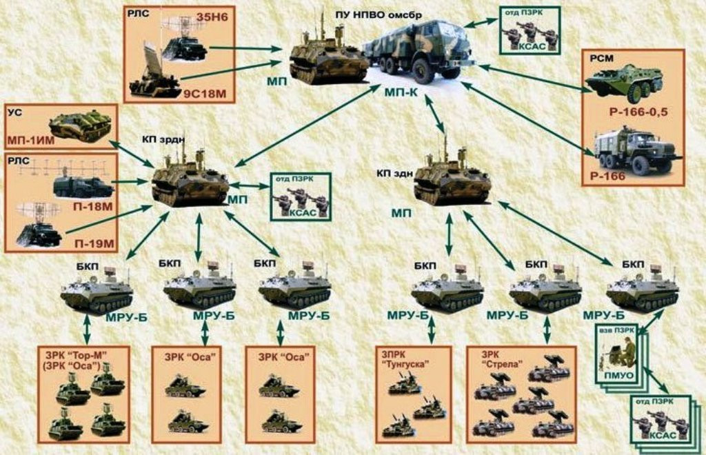 Barnaul T “Millions” Of Majestic Siberian Cats Live In Couple’s