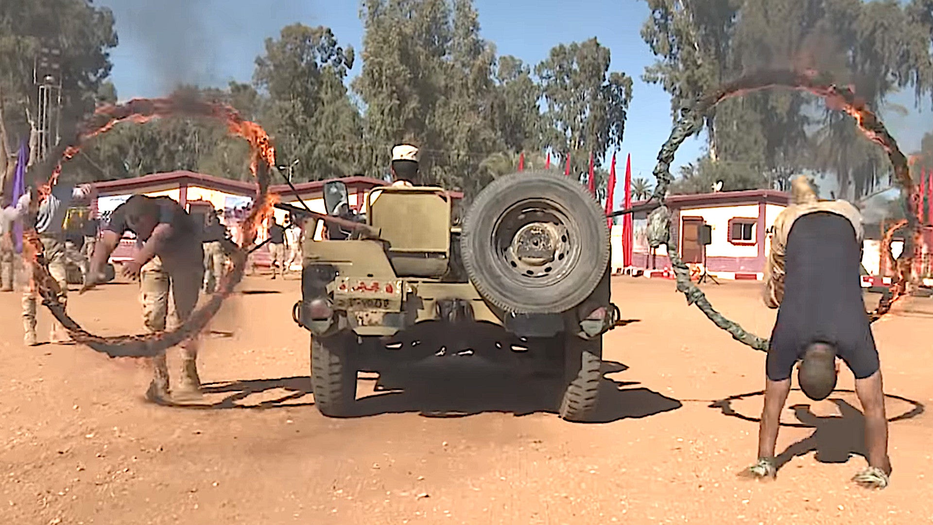 Egypt Takes Diving Through Flaming Hoops To The Next Level By Mounting ...