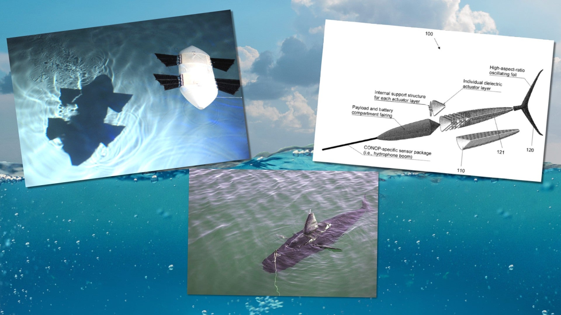 The Navy Is Developing "Bio-Inspired" Drones That Transition Between ...